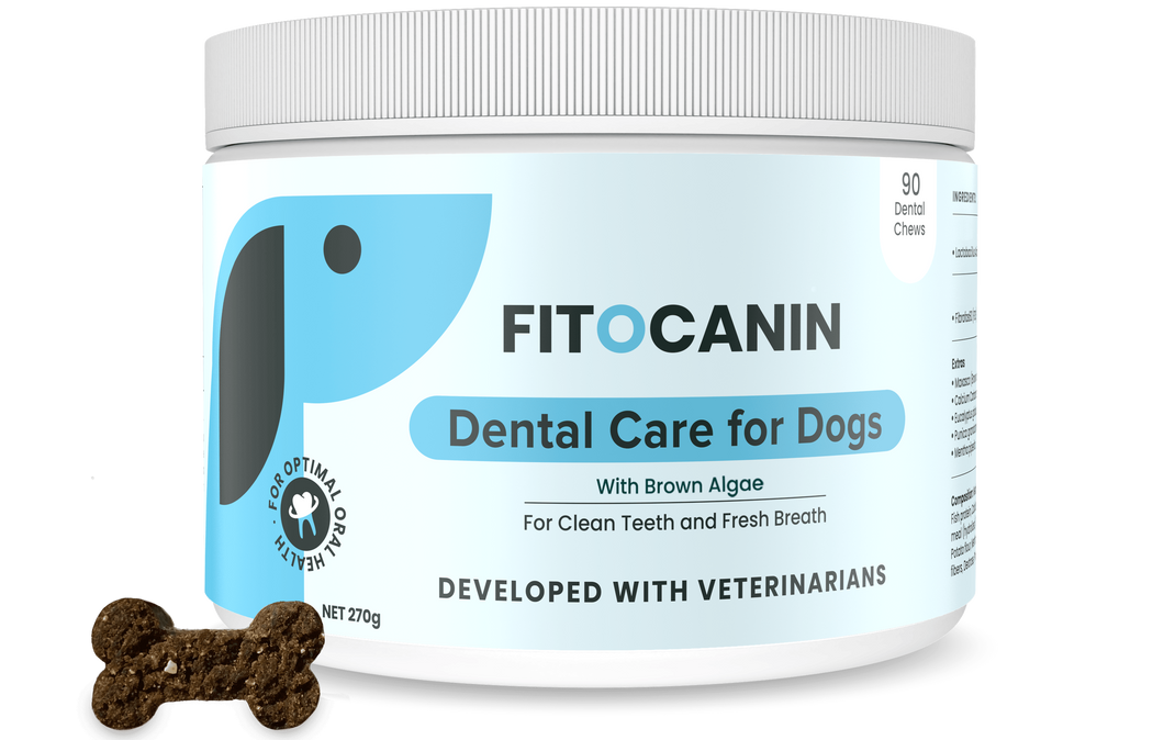 Dental Forte – Fitocanin